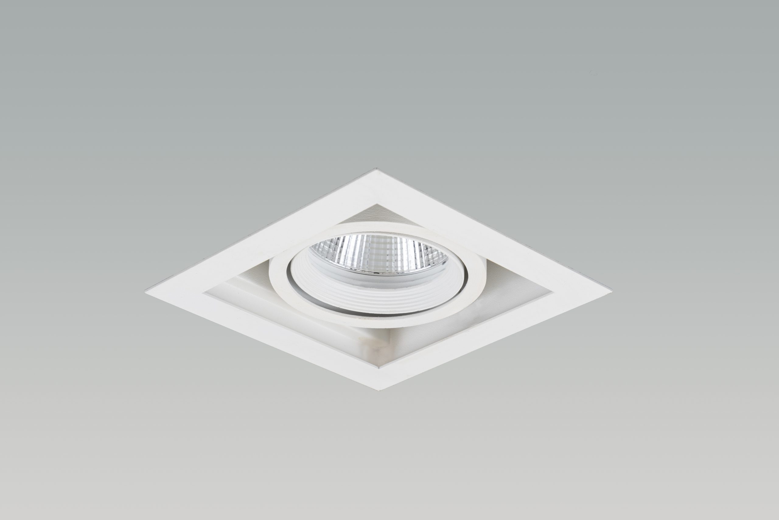 Orbital - Omega Light